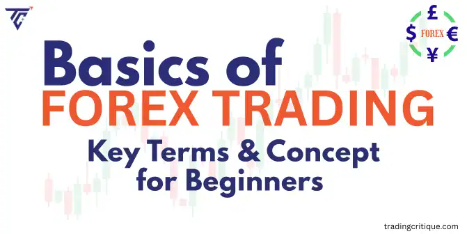 Beginner’s Guide to Forex Trading 2026: Basics Made Easy